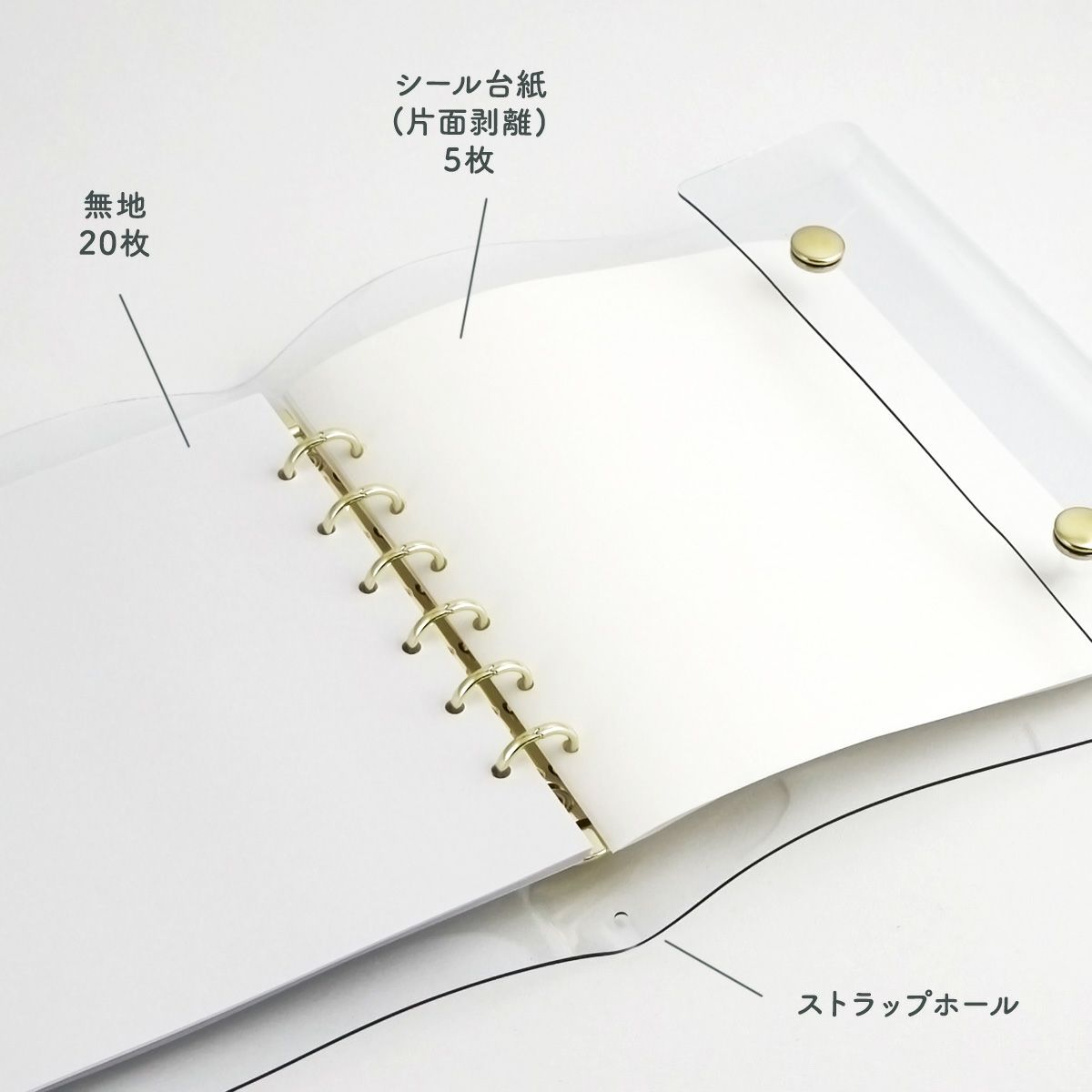 Bine商品一覧 | マインドウェイブオンラインストア